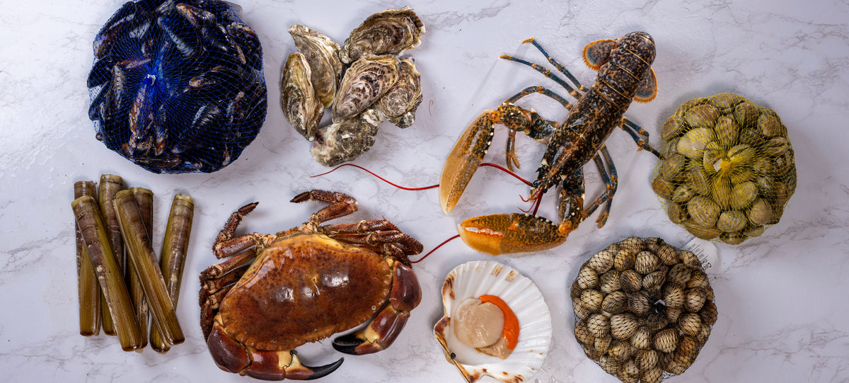 Fresh Shellfish – New Wave Fish and Seafood Market