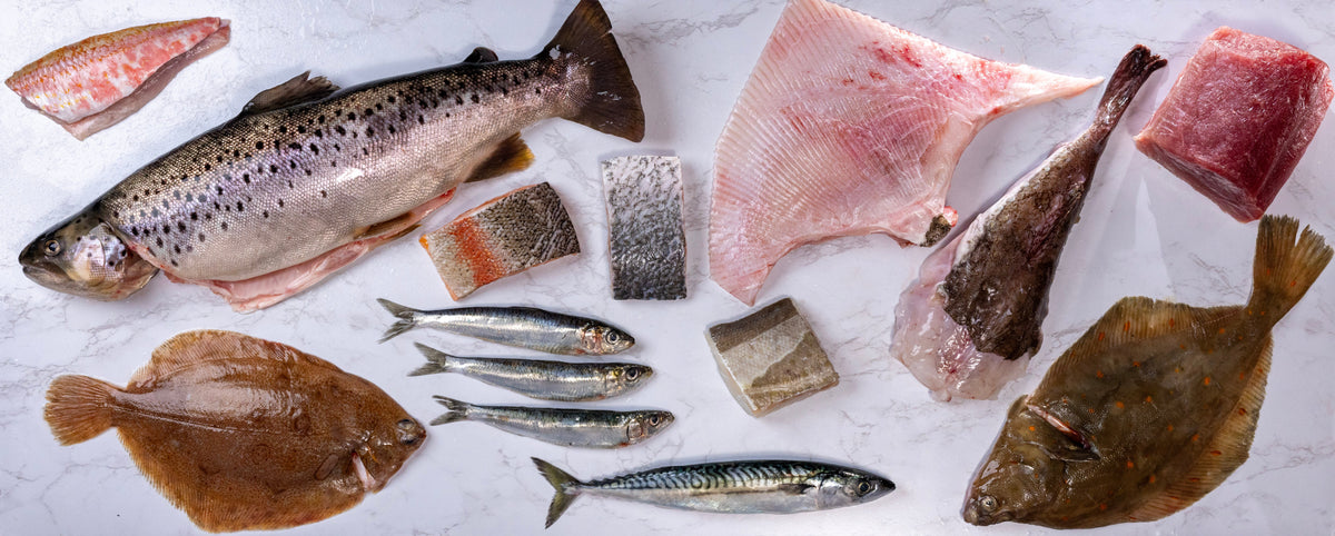 Fresh Fish – New Wave Fish and Seafood Market