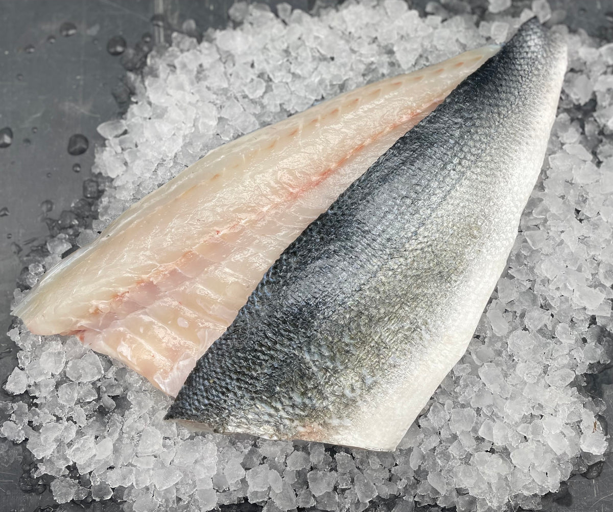 Sea bass (farmed) – New Wave Fish and Seafood Market