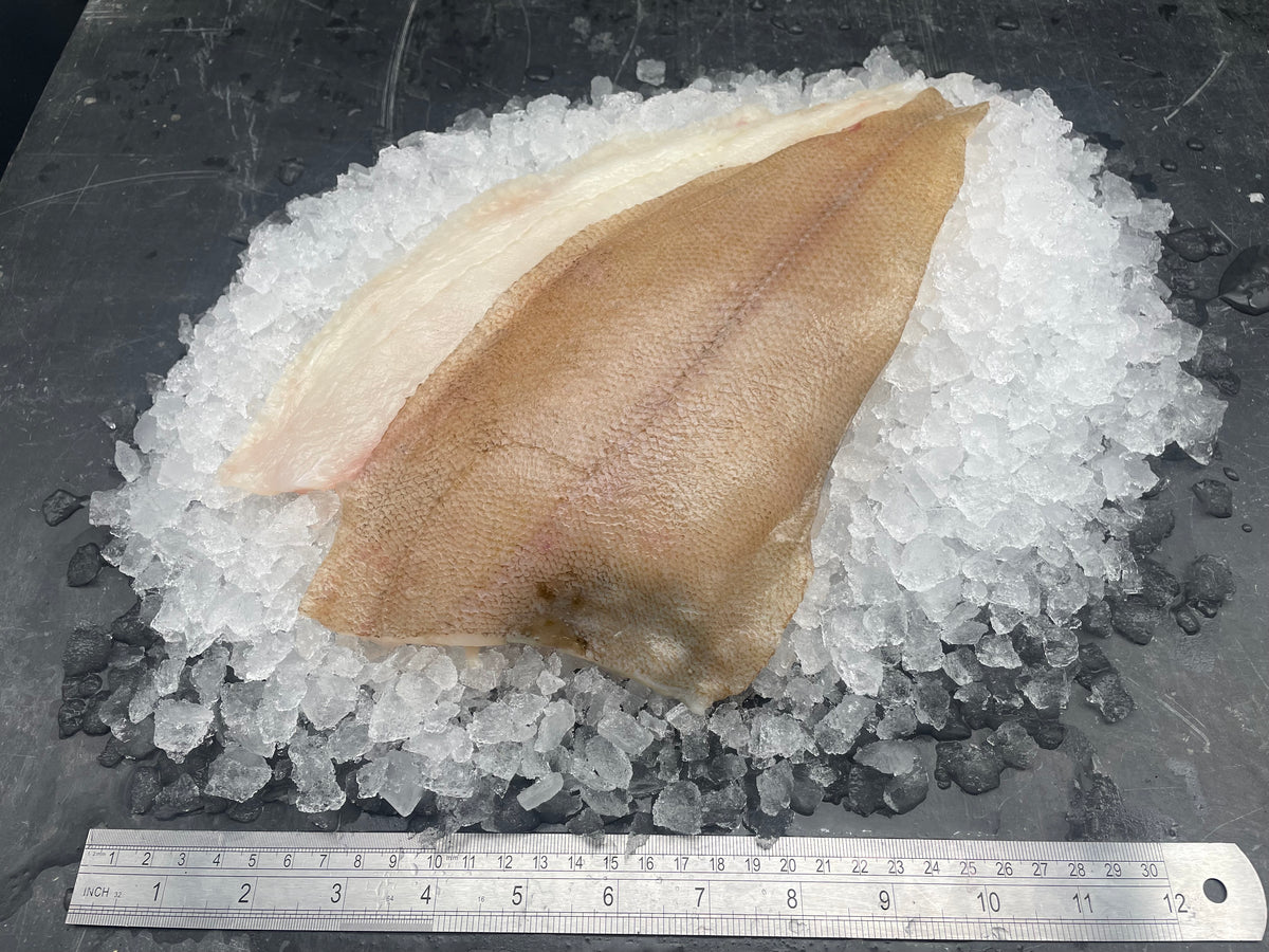 Cornish sole – New Wave Fish and Seafood Market