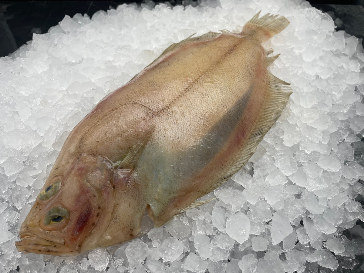 Cornish sole – New Wave Fish and Seafood Market