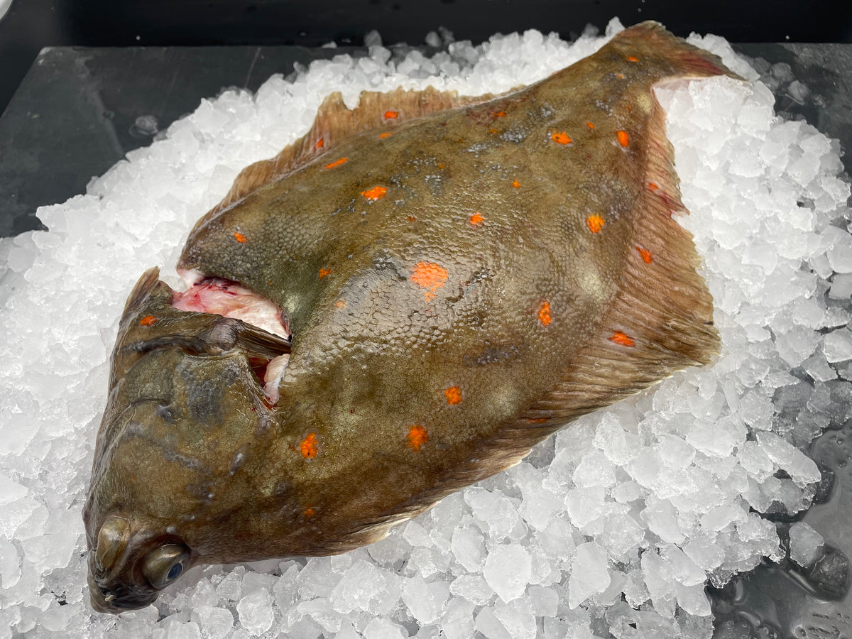 Plaice – New Wave Fish and Seafood Market